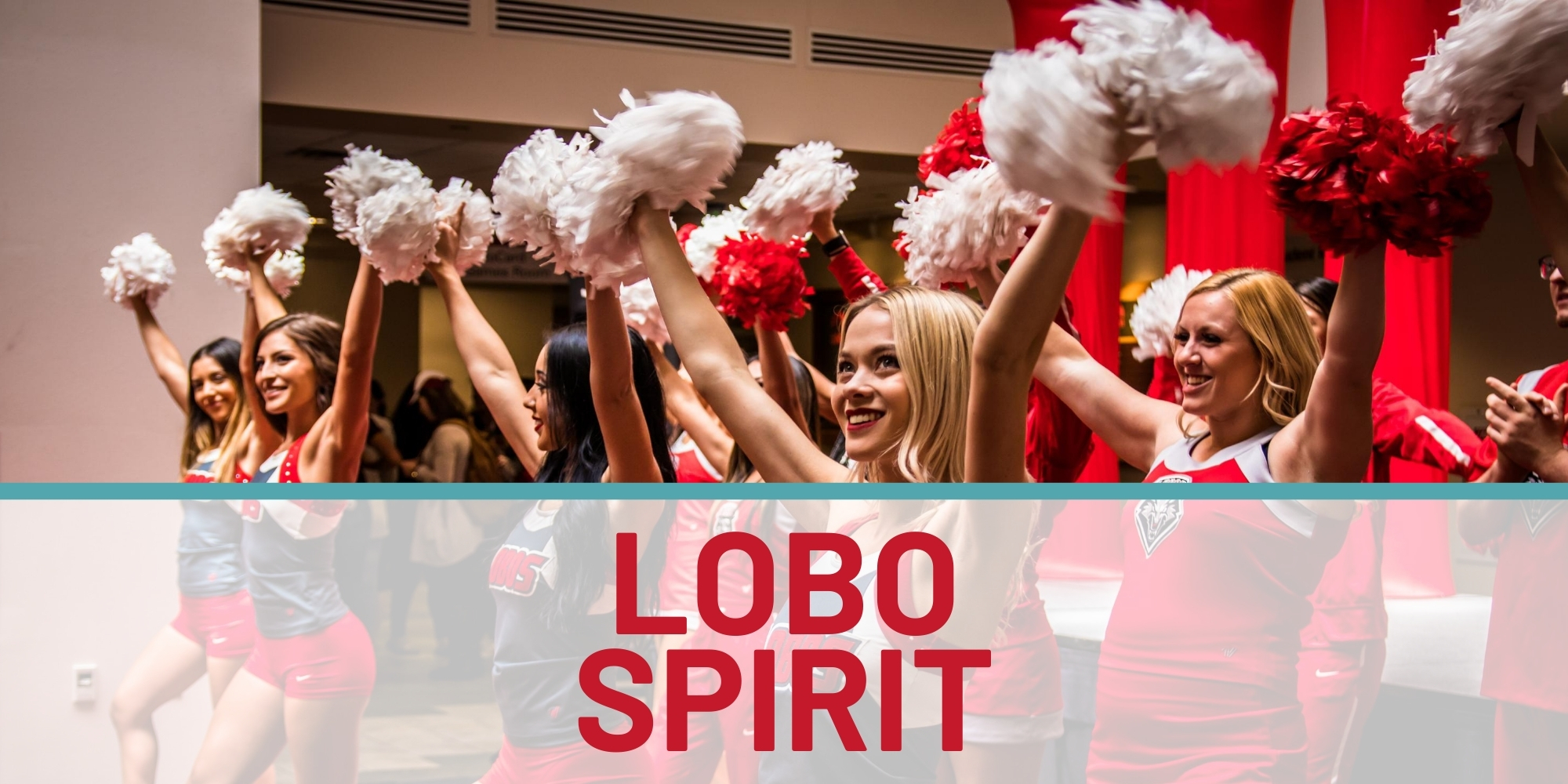 Student Service Agencies :: Associated Students of the University of ...